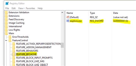 java unable to find element on closed window on ie 11