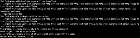 nginx with rtmp on raspberry pi as a streaming server for obs it s