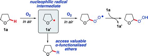 Scheme 4 Substrate Scope For The Reaction Of A Range Of Heterocyclic
