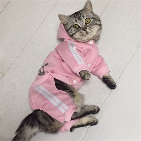 Pin On Cat Clothing Cat Clothes Clothes For Cats