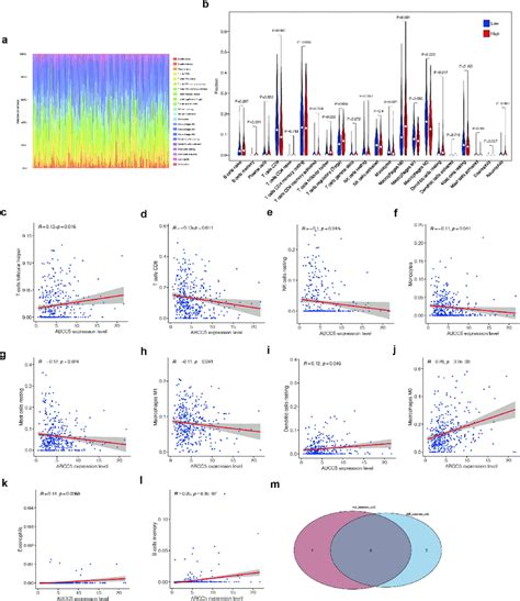 Immune Infiltration Analysis A The Proportion Of Immune Cells In Each
