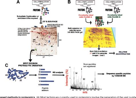 Table 1 From Proteomics Techniques And Their Application To Hematology