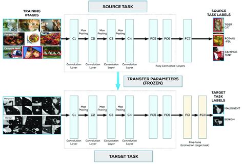 schematic overview of the modified convolutional neural network vrogue