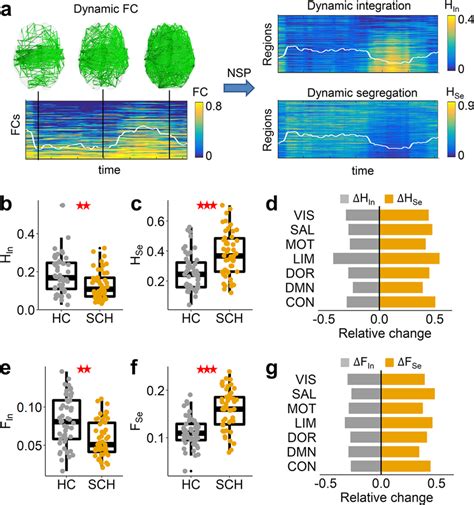 Dynamic Segregation And Integration A Schematic Diagram Of Dynamic