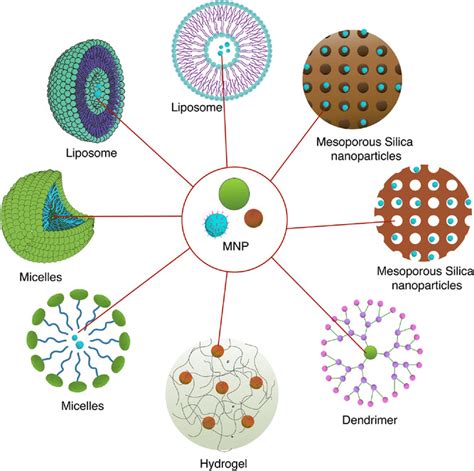 Recent Progress Of Magnetic Nanoparticles In Biomedical Applications A