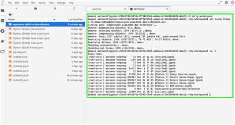 collaborate in jupyterlab using git adobe experience platform