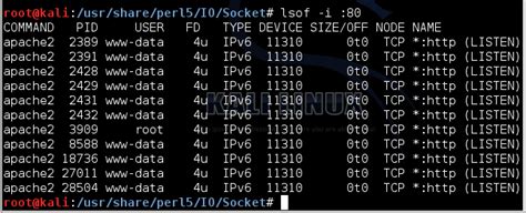 cnit 126 proj 3 using inetsim on kali linux 20 pts