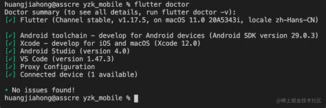 【flutter开发技巧】error connecting to the service protocol failed to