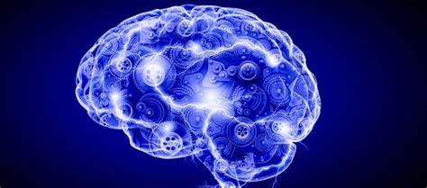The Reversal Of Cognitive Decline In The Brain El Paso Tx Doctor Of