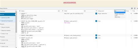 wordpress debug and query monitor gridpane