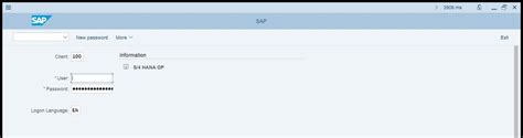 sap gui installation