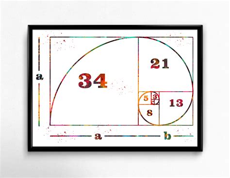 fibonacci spiral watercolor sequence geometric art mathematics etsy