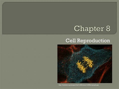 Ppt Chapter 8 Powerpoint Presentation Free Download Id 2350163