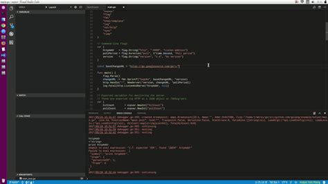 debug with golang with dlv youtube