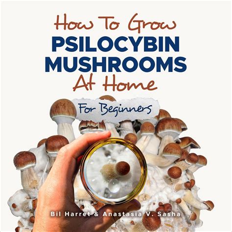Mua How To Grow Psilocybin Mushrooms At Home For Beginners 5