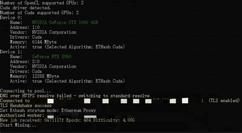dns over resolved failed · issue 1501 · lolliedieb lolminer