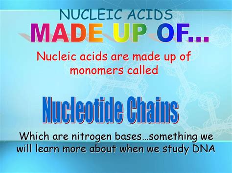 Macromolecules Biochemical Compounds Ppt Download