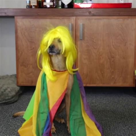 🏳️‍🌈🏳️‍🌈🏳️‍🌈🏳️‍🌈happy Pride🏳️‍🌈🏳️‍🌈🏳️‍🌈🏳️‍🌈 X Tumbex
