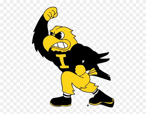 Iowa Hawkeye Clipart Free 10 Free Cliparts Download Images On