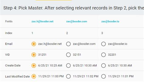 Module Overview Merge Duplicates Insycle