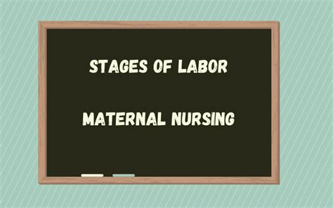 Stages Of Labor Maternal Ob Nursing The Nursiversity