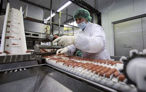 meat processing factory stock image c009 0606