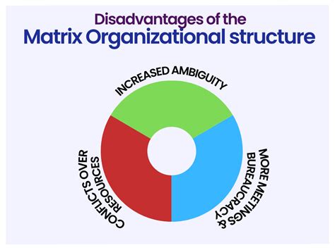 Matrix Organizational Structure 101 A Comprehensive Guide
