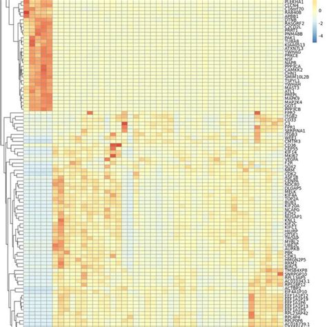 Differential Gene Expression Heatmap And Volcano Plot Between Gbm And