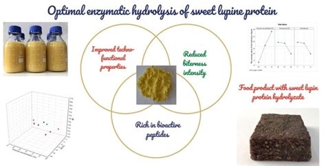 Fermentation Free Full Text Optimal Enzymatic Hydrolysis Of Sweet