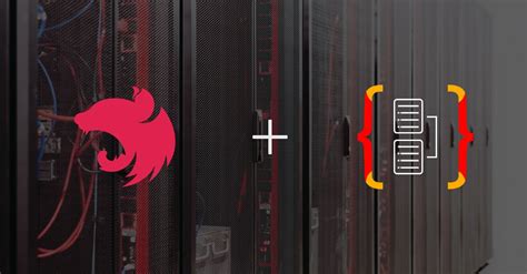 nest js typeorm working with multiple databases simultaneously xb