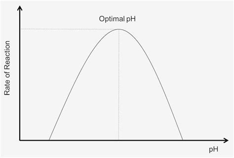 Enzyme Graph Ph