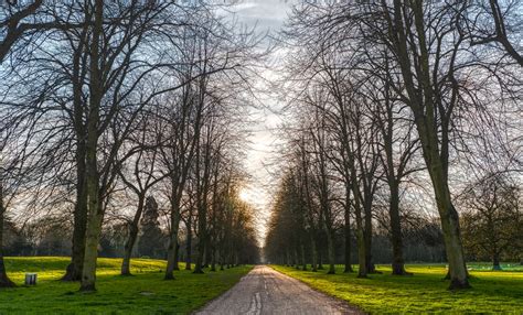 tone mapping hdr images