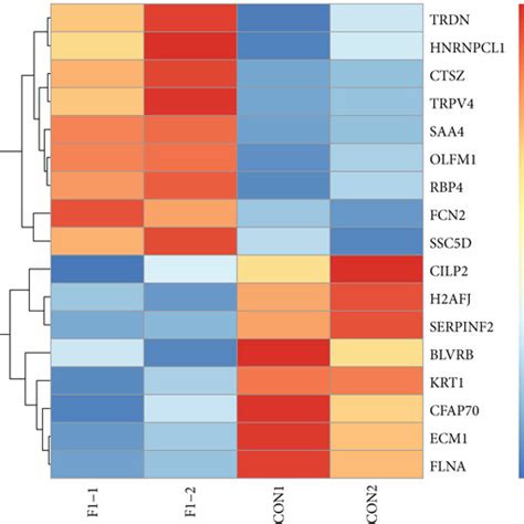 Functional Annotation Of Proteins With Go Between Two Early Stages Of