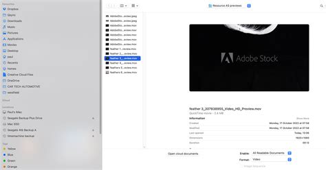unable to import mov or import mp4 files into ph adobe support