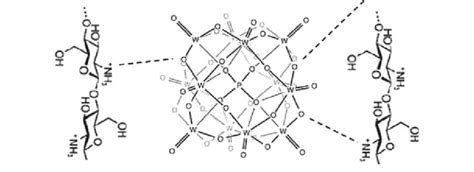 Schematic Representation Of Crosslinking The Chitosan To The Anionic