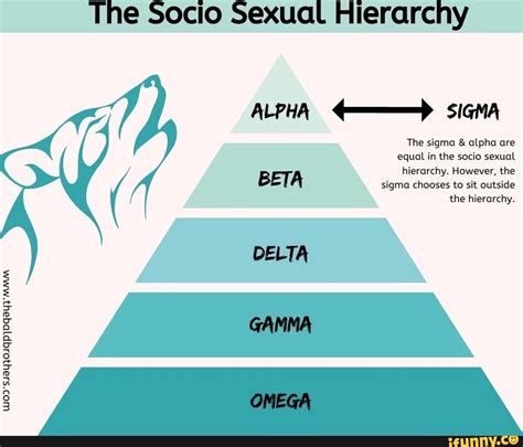 The Socio Sexual Hierarchy Alpha Sigma The Sigma And Alpha Are Equal In