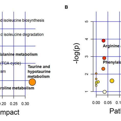 Overview Of Metabolic Pathway Analysis Plot With Metpa In Plasma A