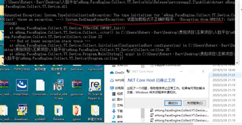 c dll 0xc000007b 和 system badimageformatexception 试图加载格式不正确的程序