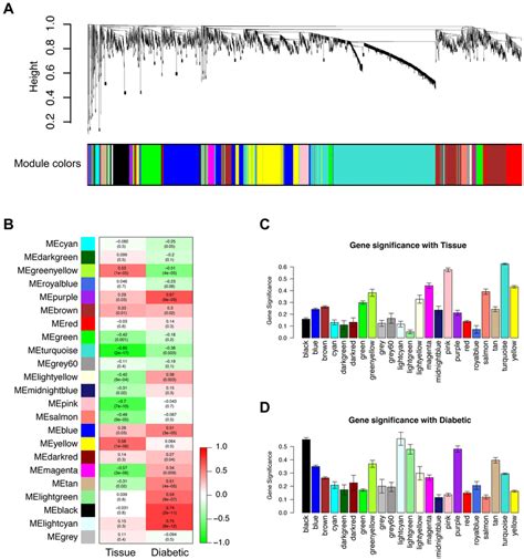 Genes Modules In Weighted Gene Co Expression Network Analysis Wgcna