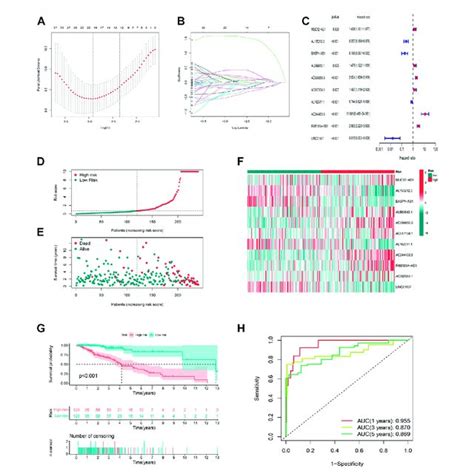 Construction And Validation Of The Prognostic Model In The Tcga