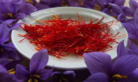 50 Natural Aphrodisiacs Self Help Nirvana