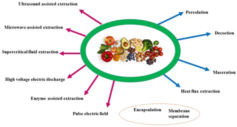 Molecules Free Full Text Recent Advances In Natural Polyphenol Research
