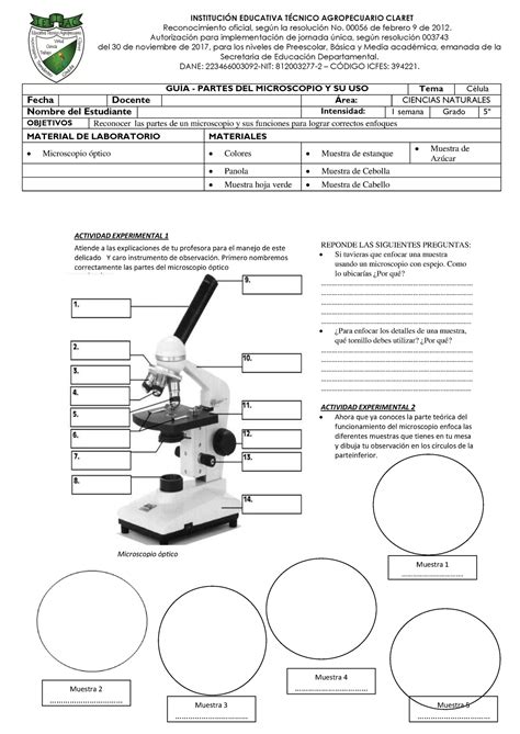 GuÍa De Laboratorio Partes Del Microscopio Y Su Uso 5º Primaria