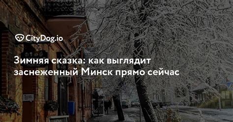 Зимняя сказка как выглядит заснеженный Минск прямо сейчас