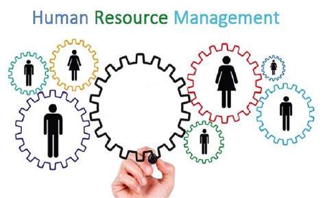 10 key functions of human resource management hrm