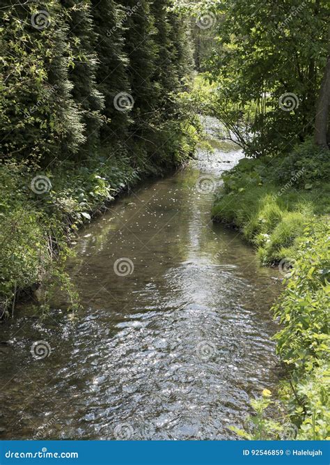 Small Stream Flowing Through Picturesque Valley With Meadows And