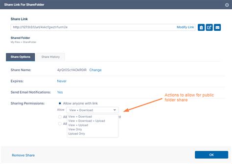sharing files or folders publicly in drive filecloud docs server