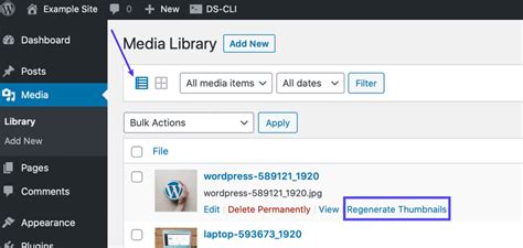 how to regenerate thumbnails in wordpress via plugins and wp cli