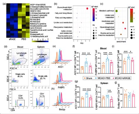 Neutralization Of Rage Reverses The Metabolic Reprogramming Of Cd4 þ T