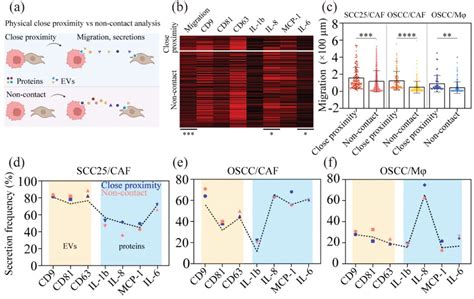 Deciphering Cell Cell Interactions With Integrative Single‐cell